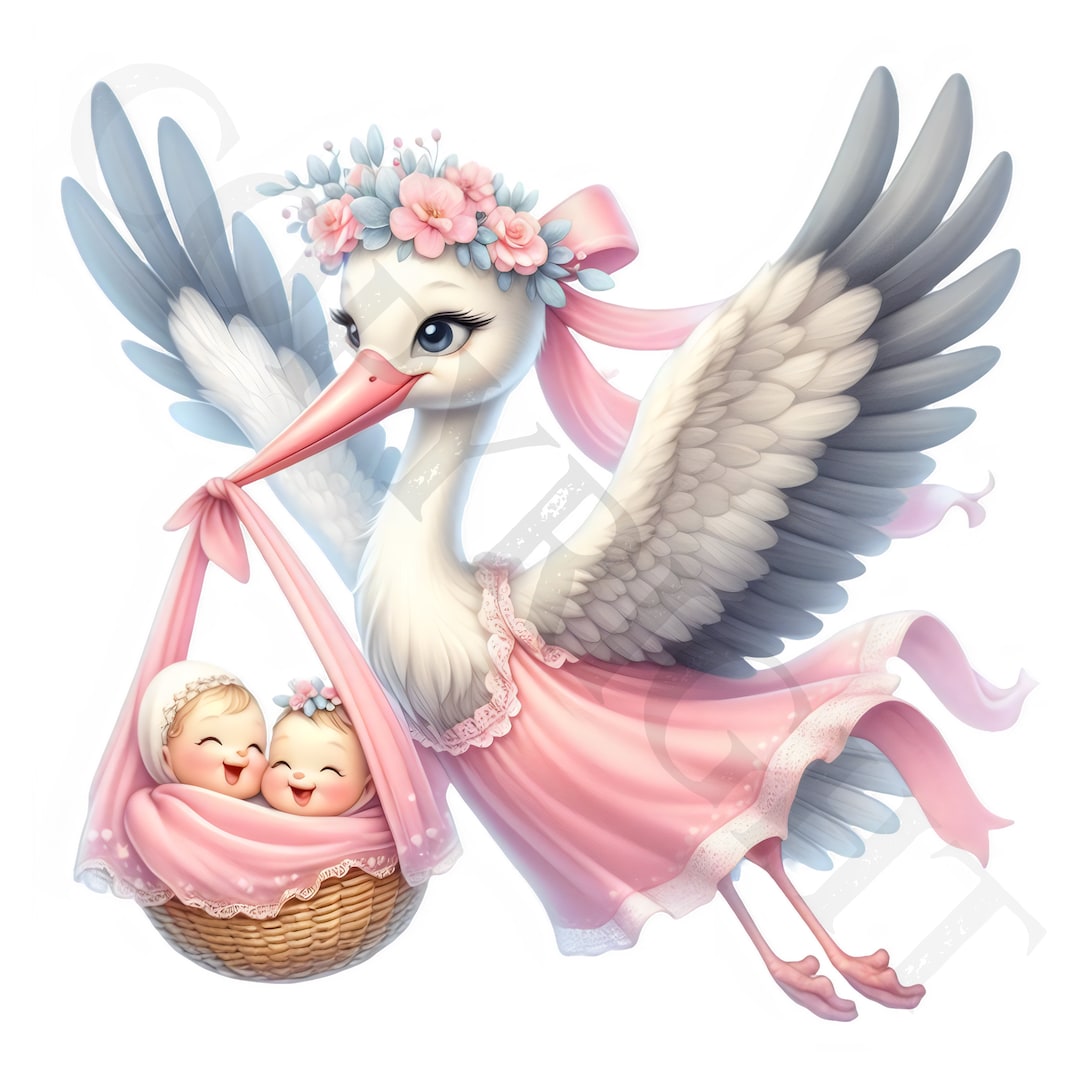 Pastel Pink Stork Delivers Baby Twins Clipart | 10 Transparent PNG ...