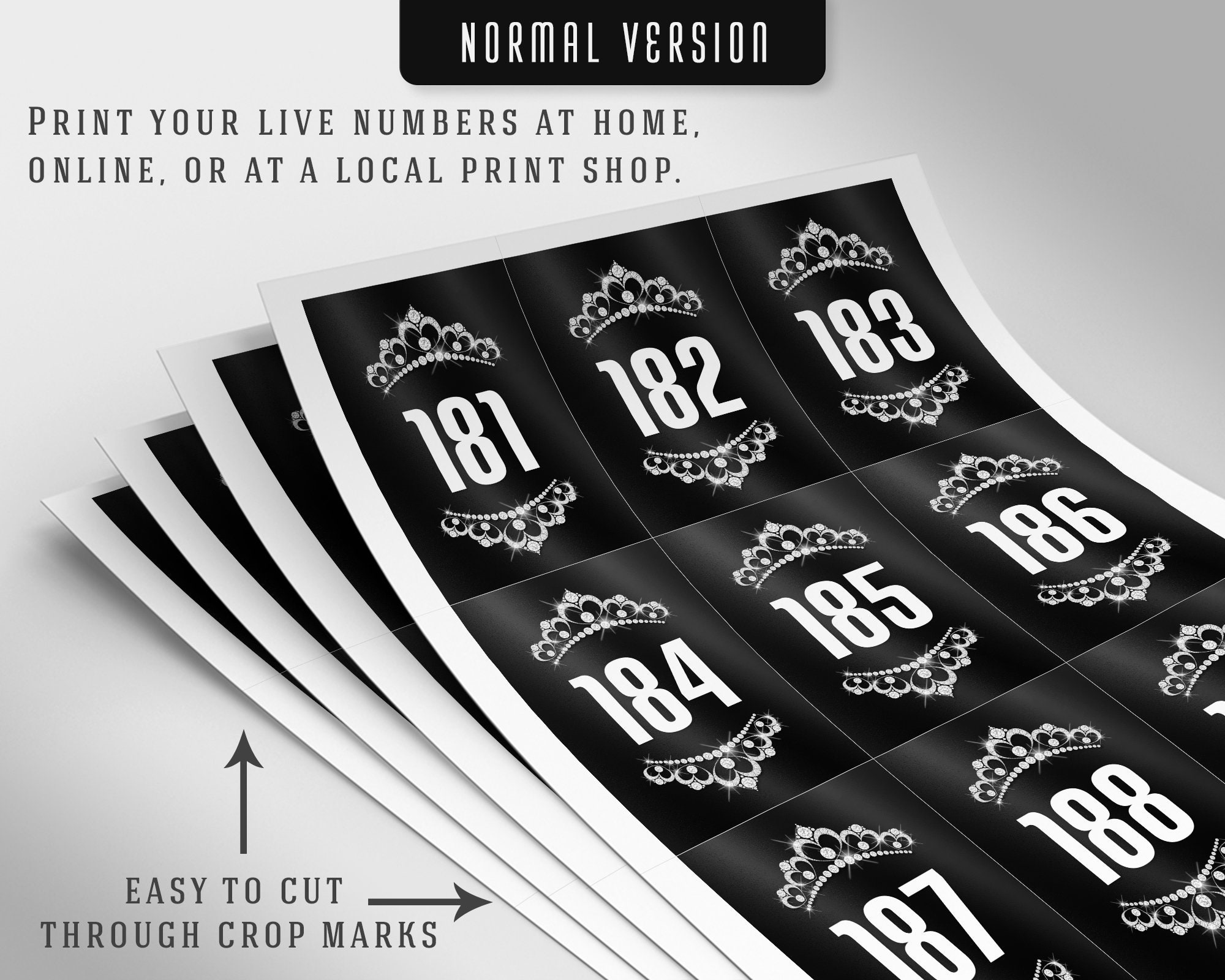 Facebook Live Sale Numbers 1-1000, Mirrored Printable Cards (digital ...