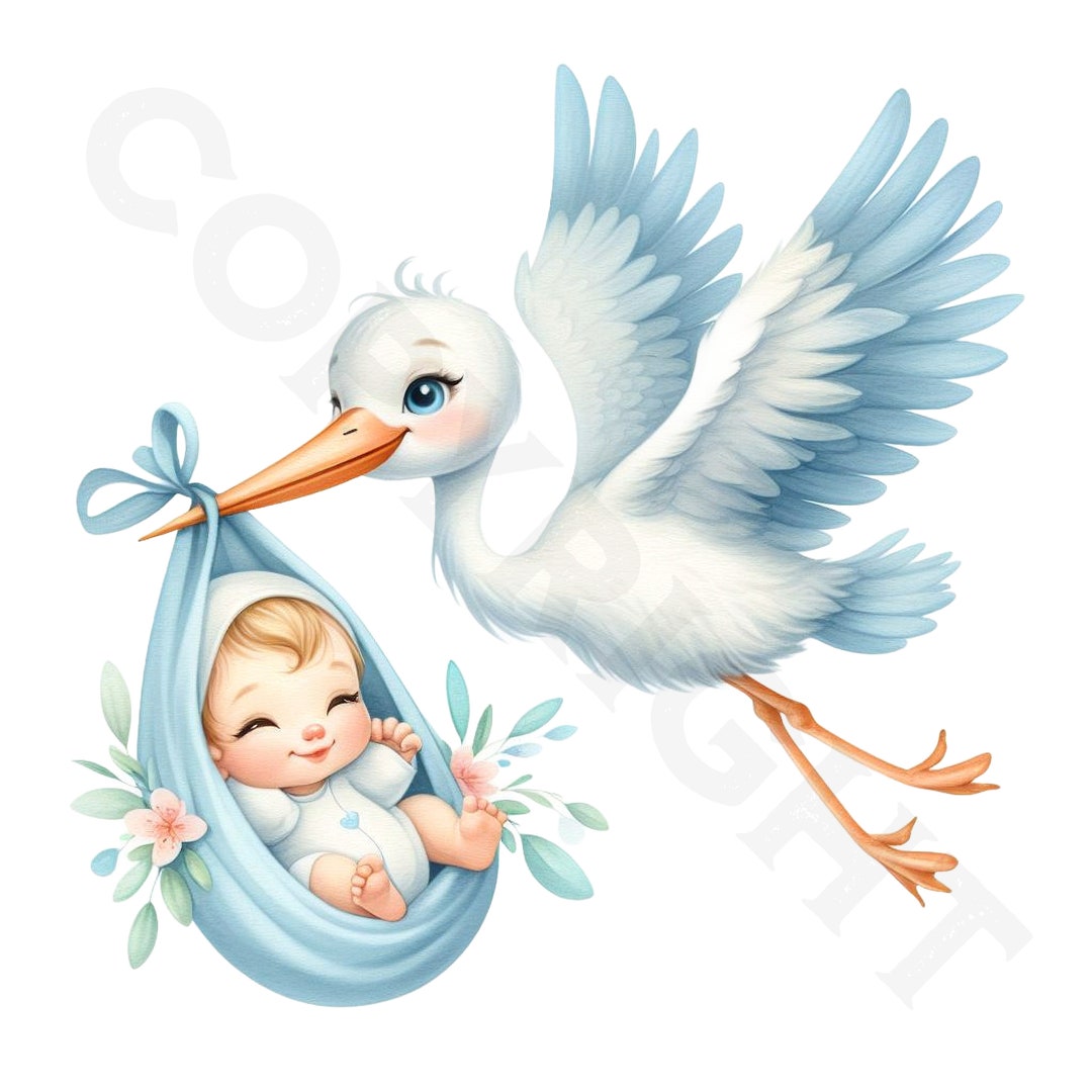 Stork Baby Boy Clipart | Watercolor PNG Images (digital Download) - Etsy