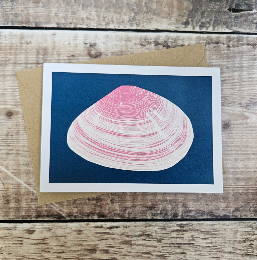 Pink Tellin Shell Single Greetings Card With Recycled Brown Envelope ...