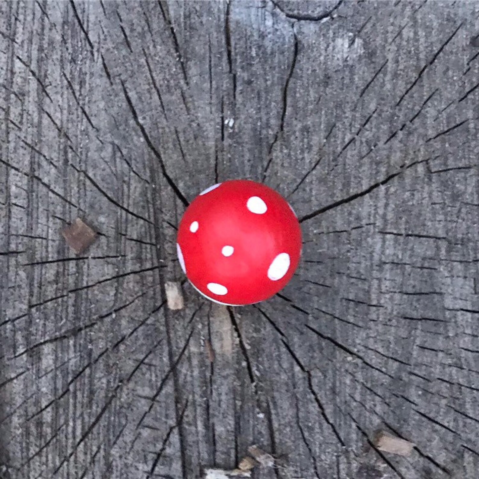 Toadstool Small World Accessories - Etsy