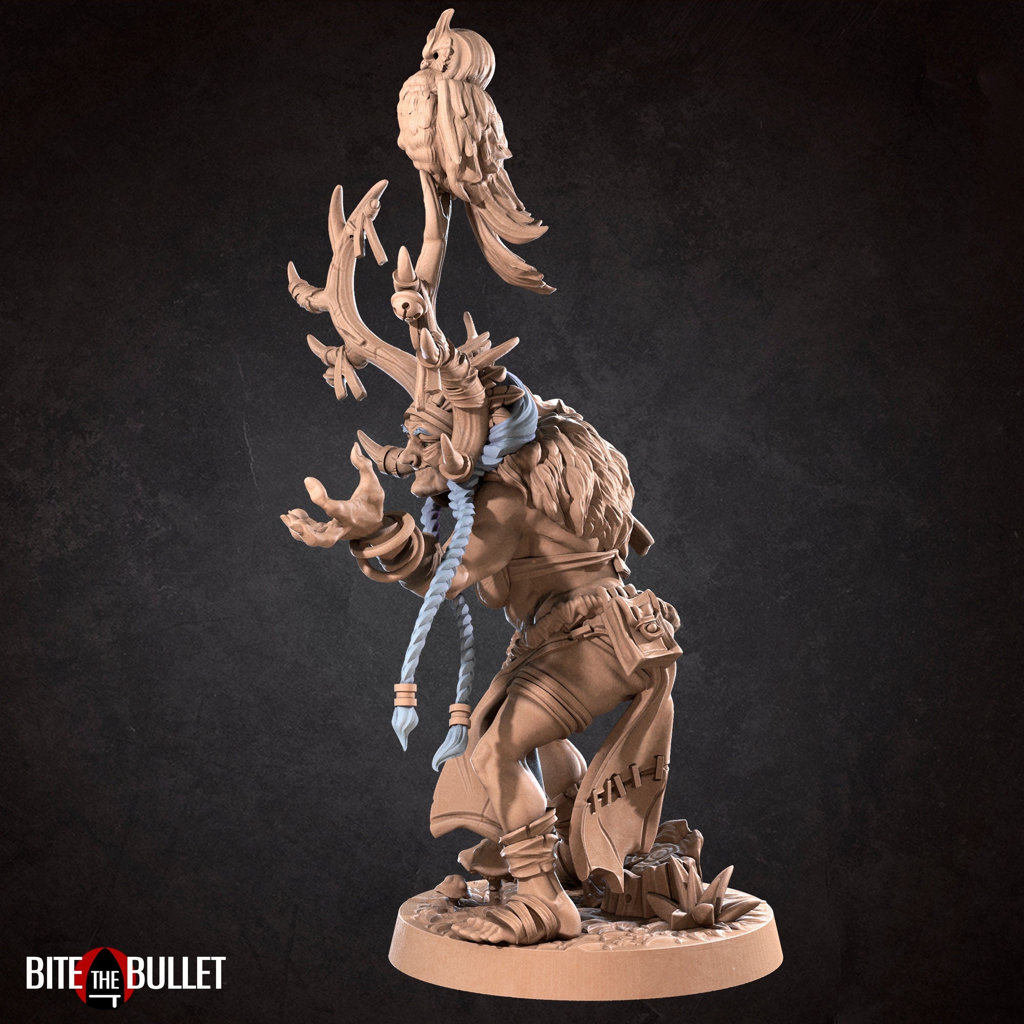 Human Amazon Elder Agatha 3D Printed Tabletop RPG Mini UNPAINTED - Etsy