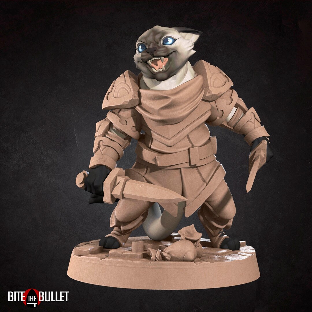 Assassin Cat Fluffy Tabaxi 3D Printed Tabletop RPG Mini UNPAINTED - Etsy