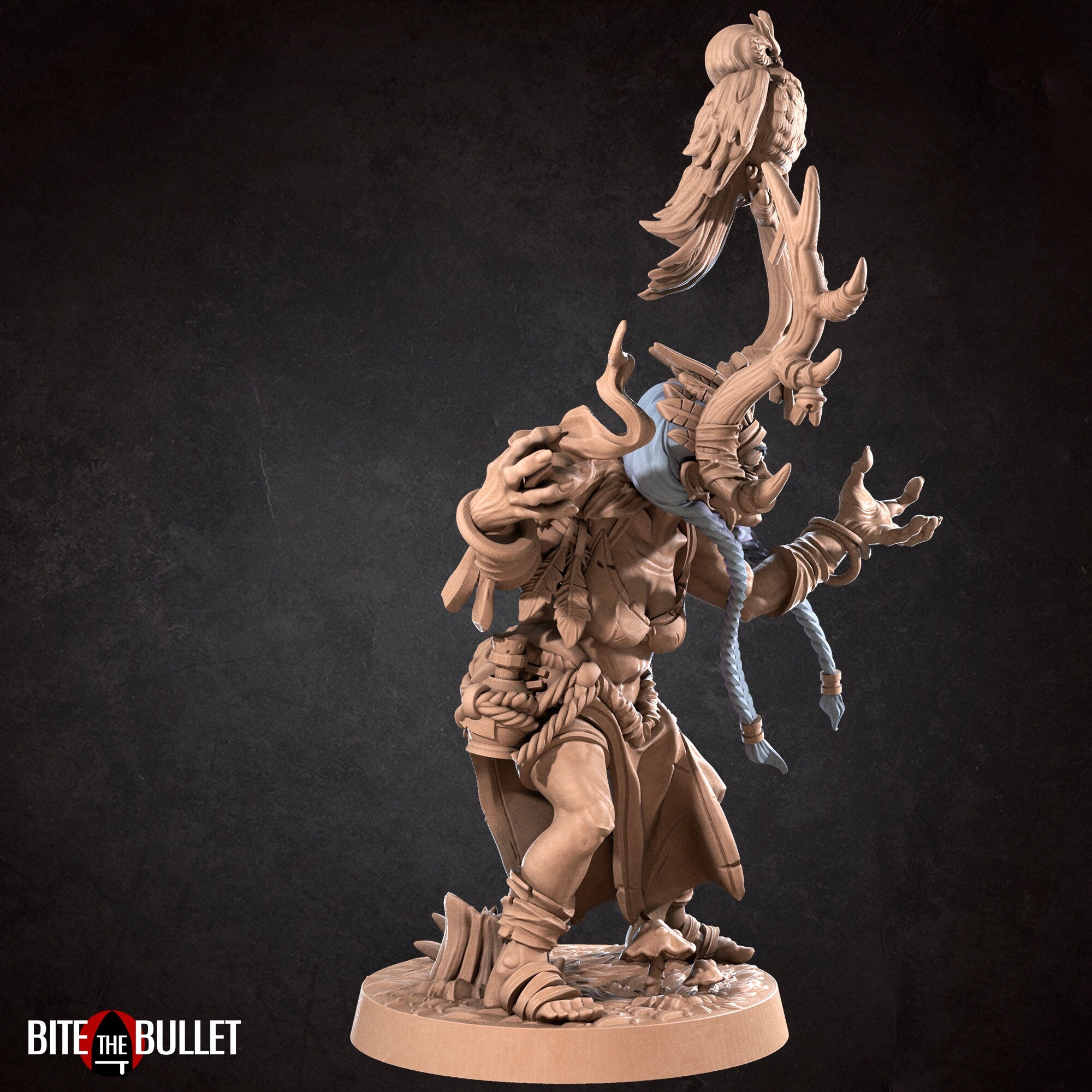 Human Amazon Elder Agatha 3D Printed Tabletop RPG Mini | Etsy