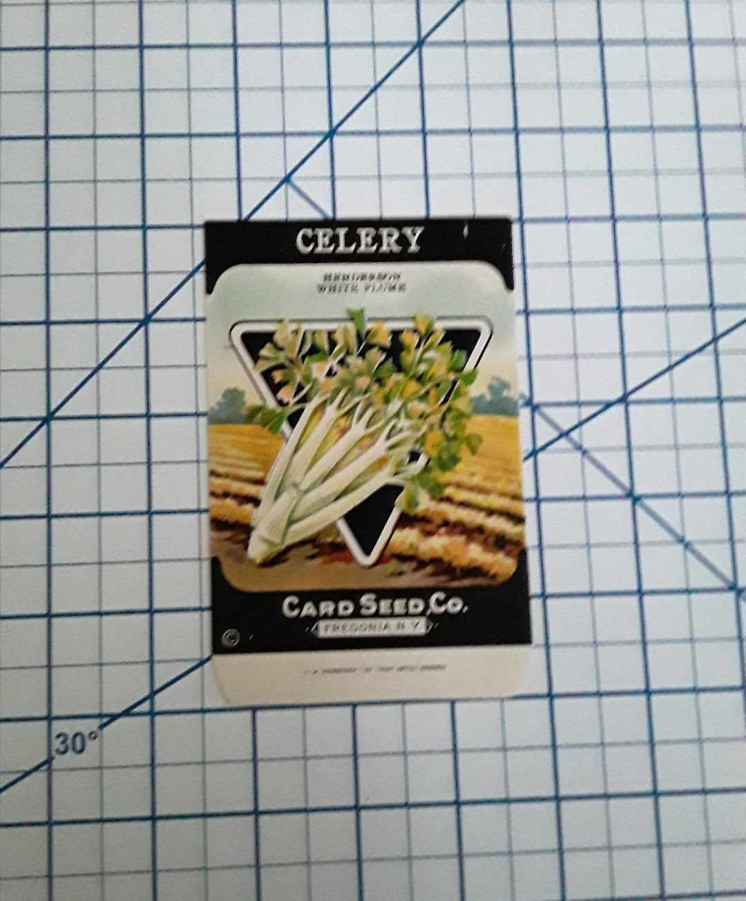 1920s CELERY Vegetable Seed Packet - NOS Fredonia Ny Vintage Brand Co ...