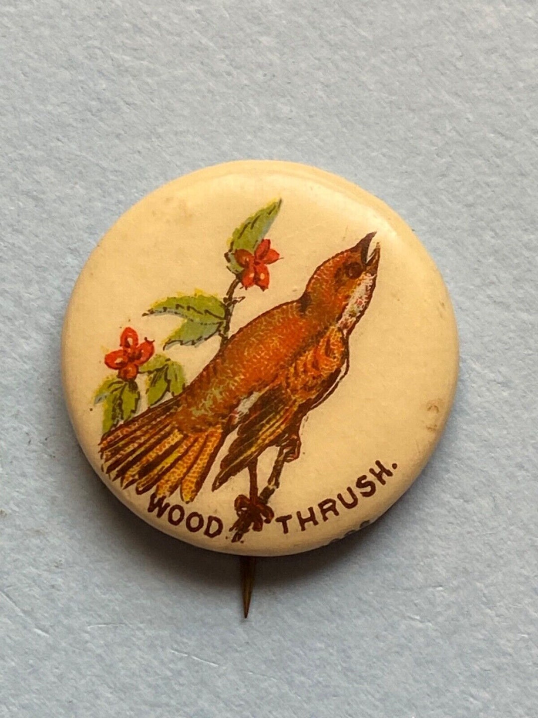 C1896 WOOD THRUSH Whitehead & Hoag Pin - Audubon Series - Bird ...