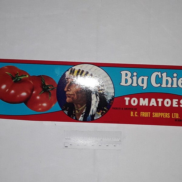 Big Chief Paper - Etsy