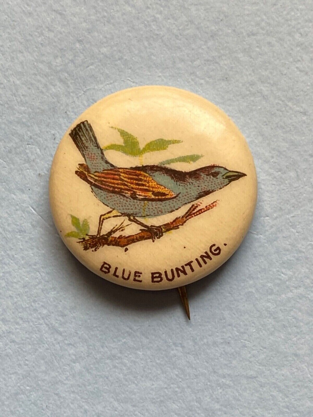 C1896 BLUE BUNTING Whitehead & Hoag Pin - Audubon Series - Bird ...