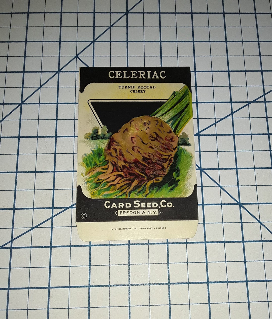 1920s CELERIAC Turnip Rooted Celery Vegetable Seed Packet - NOS ...