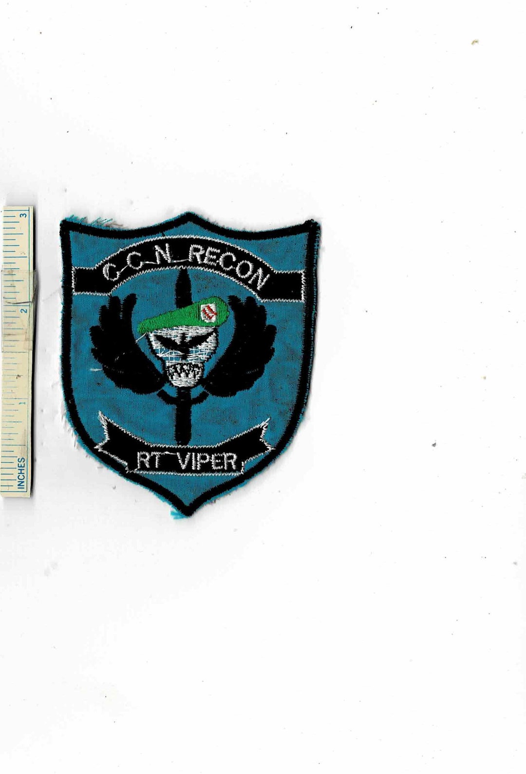 Vietnam War RECON VIPER Airborne Team Rt Special Forces Ccn US Army ...