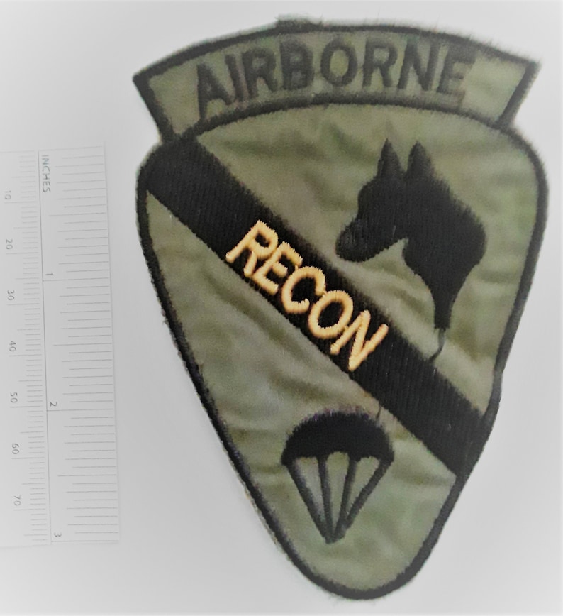 Vietnam War AIRBORNE RECON 1st Cavalry Air Cav Horse | Etsy