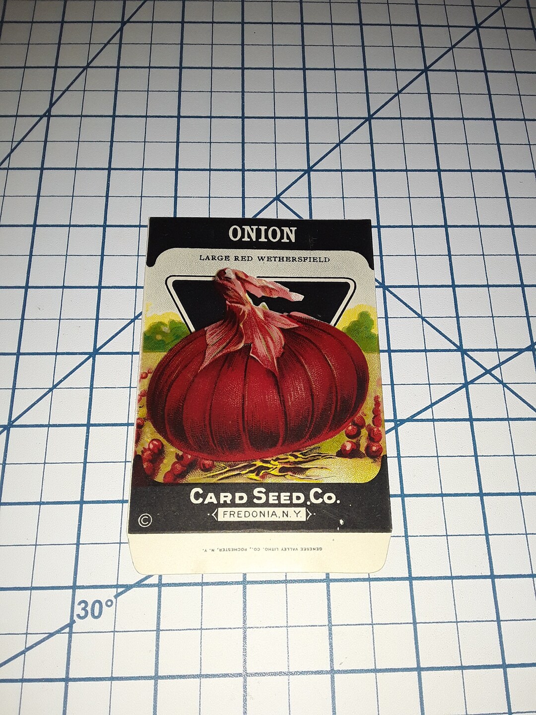 1920s ONION Large Red Wethersfield Vegetable Seed Packet - NOS Fredonia ...