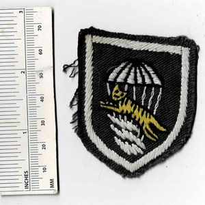 Vietnam War Hand Sewn Recon Team TIGER Beret Flash Special Forces Ops ...