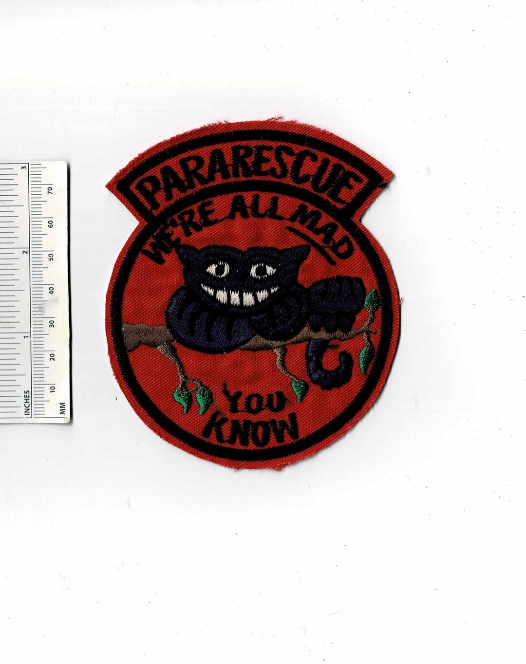 Vietnam War CHESHIRE CAT Pararescue 83rd We're All Mad You Know Usaf Us ...