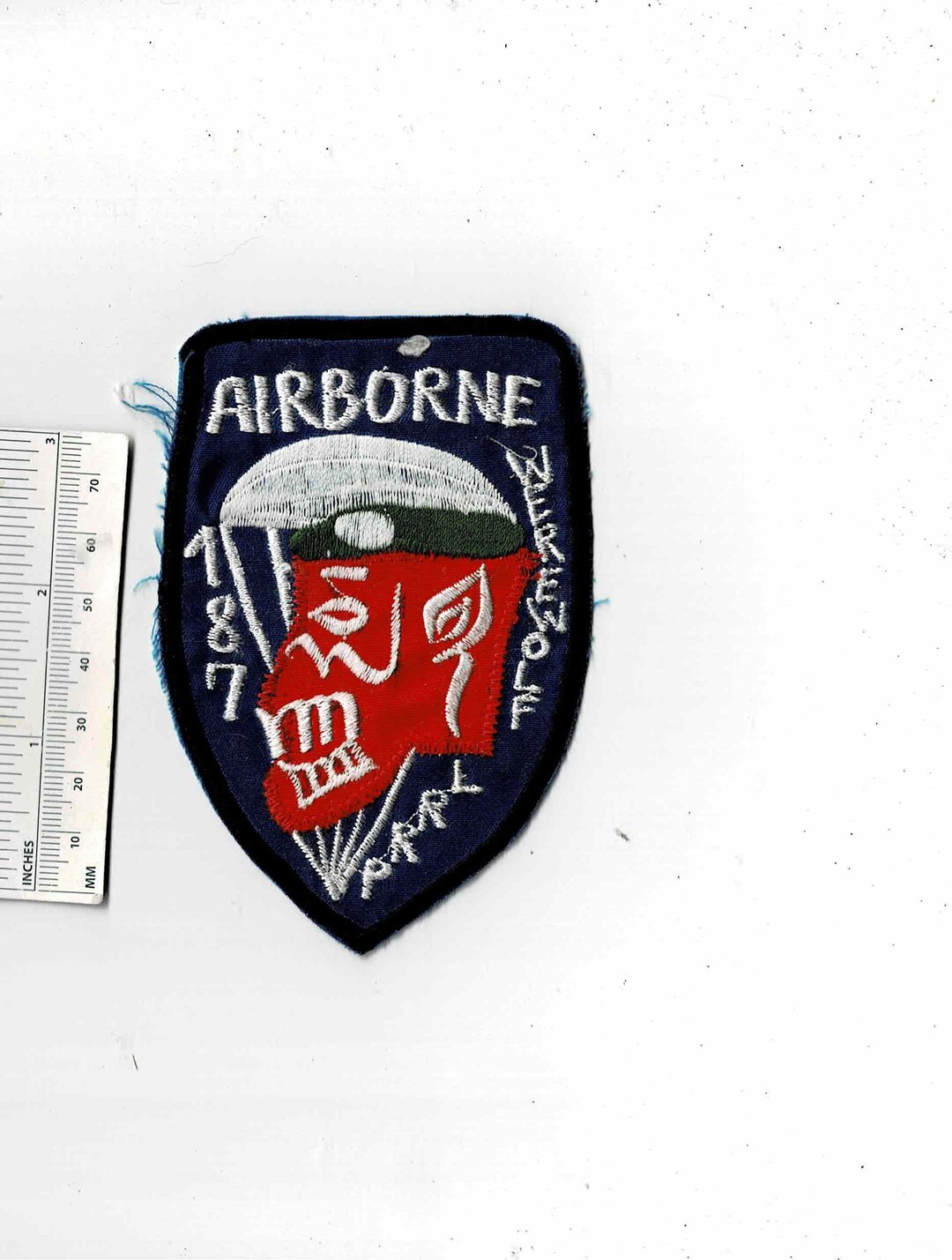 Vietnam War WEREWOLF 187th AIRBORNE LRRP Long Range Recon Patrol ...