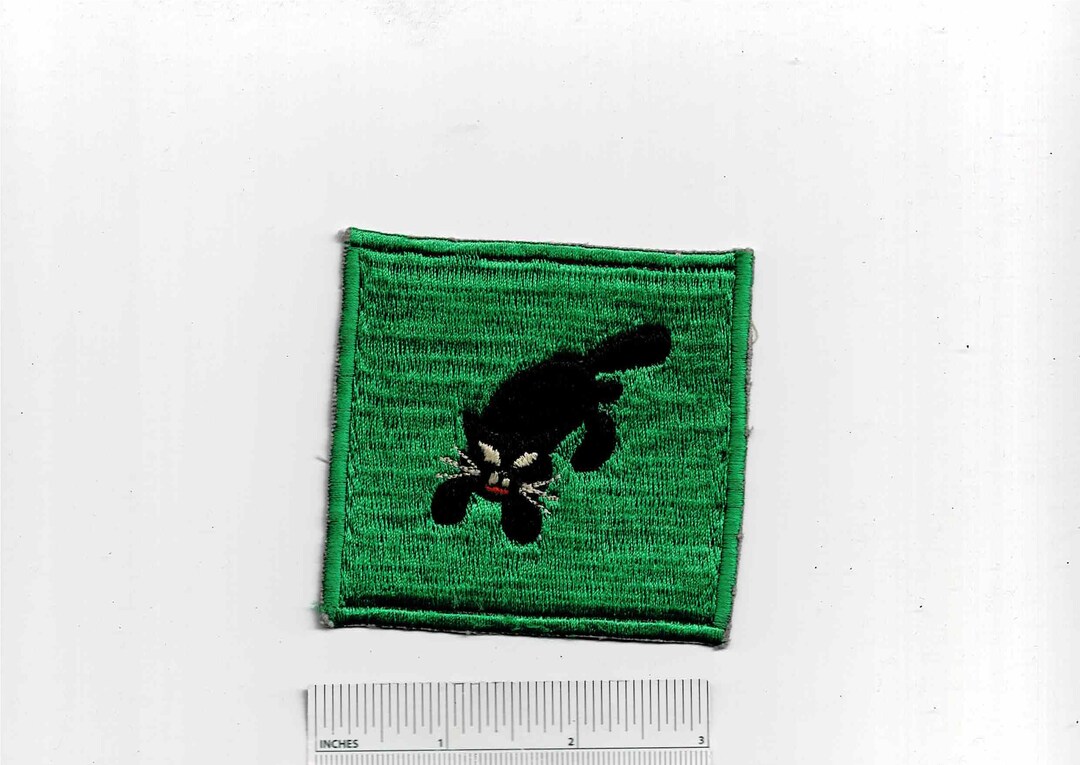 Vietnam War BLACK CATS Recon Special Forces Ops Rt Us Army - Etsy