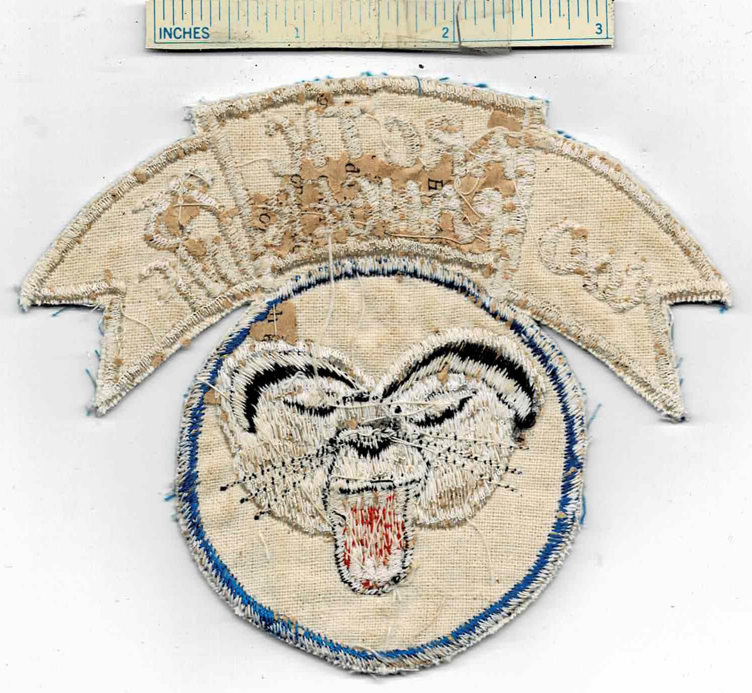 Large ARCTIC RANGER 75th Infantry Us Army Shoulder Patch Cloth Quilt ...