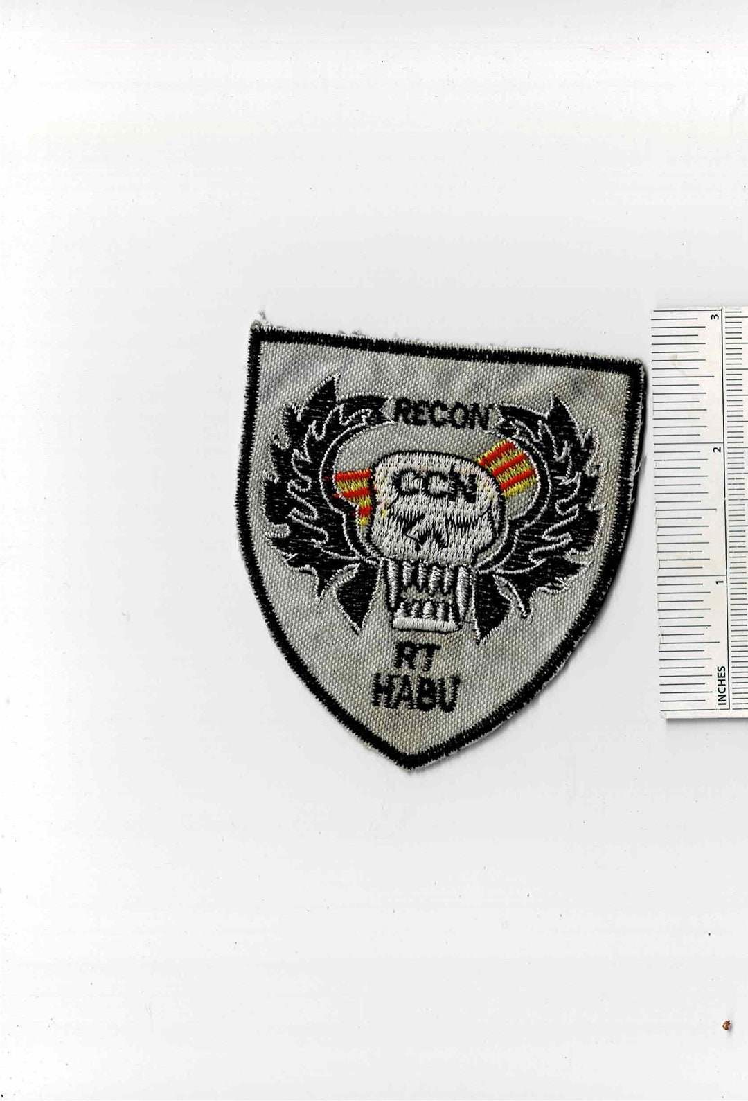 Vietnam War RECON HABU Team RT Skull Us Army Shoulder Patch Us Corps ...