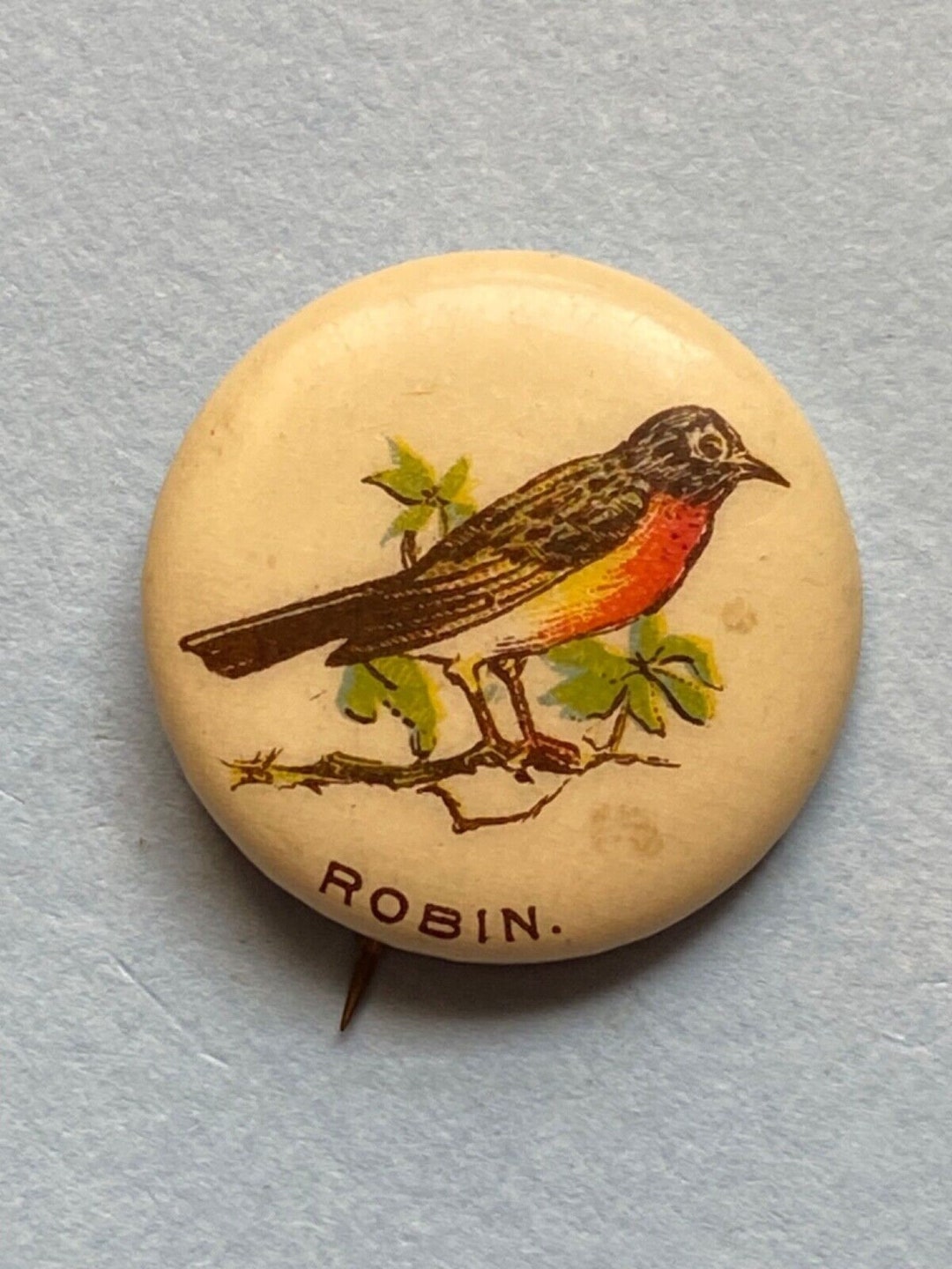 C1896 ROBIN Whitehead & Hoag Pin Audubon Series Bird Celluloid Pinbacks ...