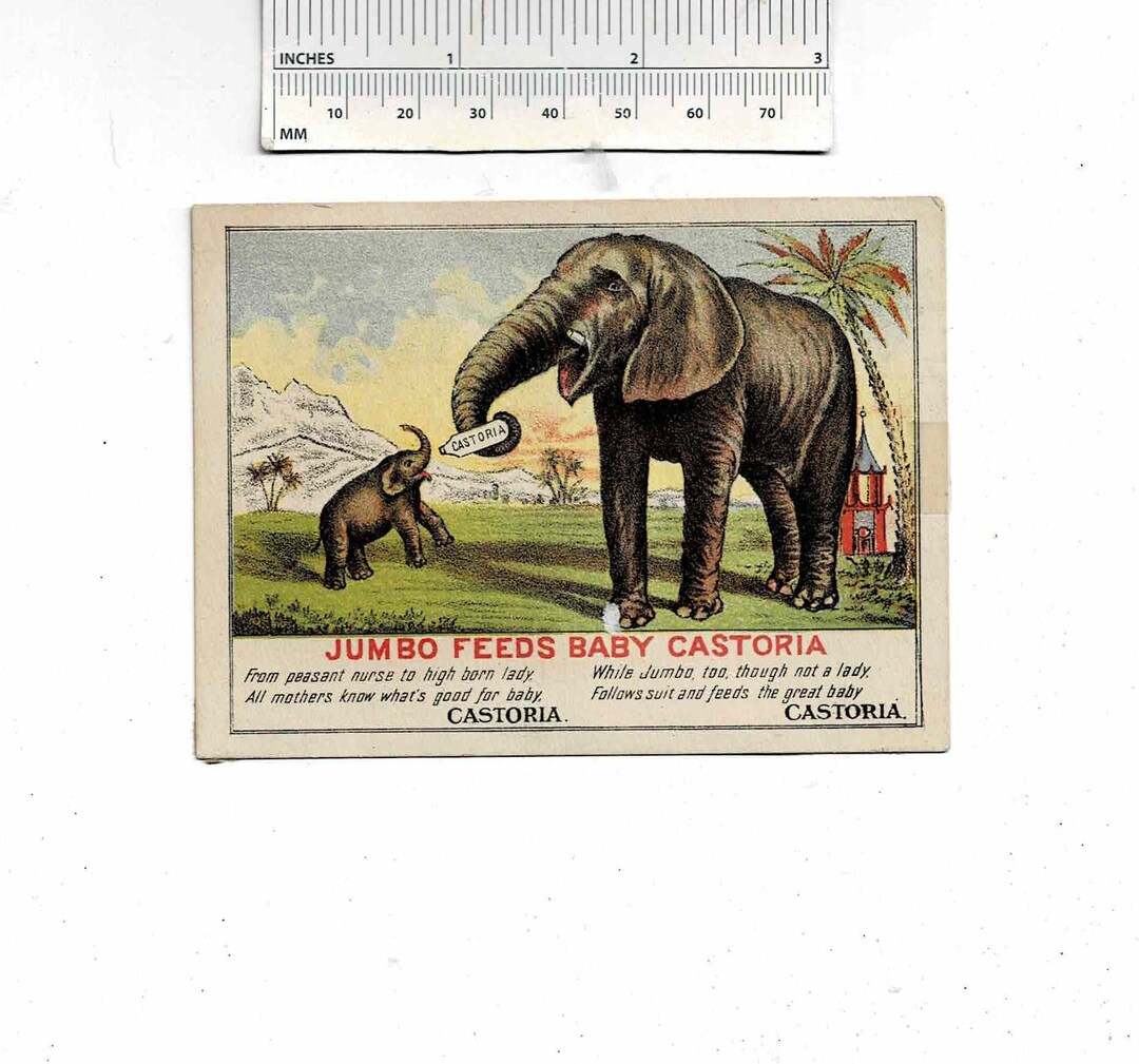 C1880s JUMBO the ELEPHANT P.T. Barnum Centaur Liniment Trade Card ...