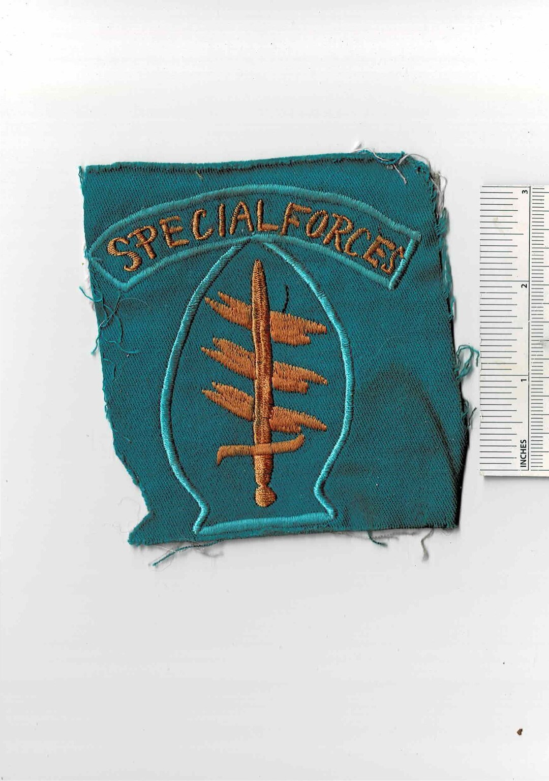 Vietnam War ARROWHEAD 1st/5th SPECIAL Forces Team Ops Paratrooper Us ...