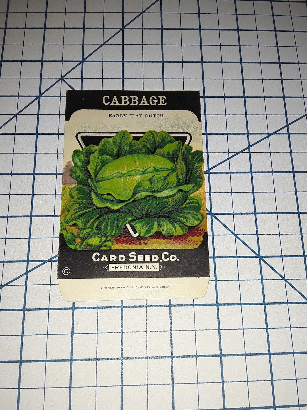 1920s CABBAGE Early Flat Dutch Vegetable Seed Packet - NOS Fredonia Ny ...