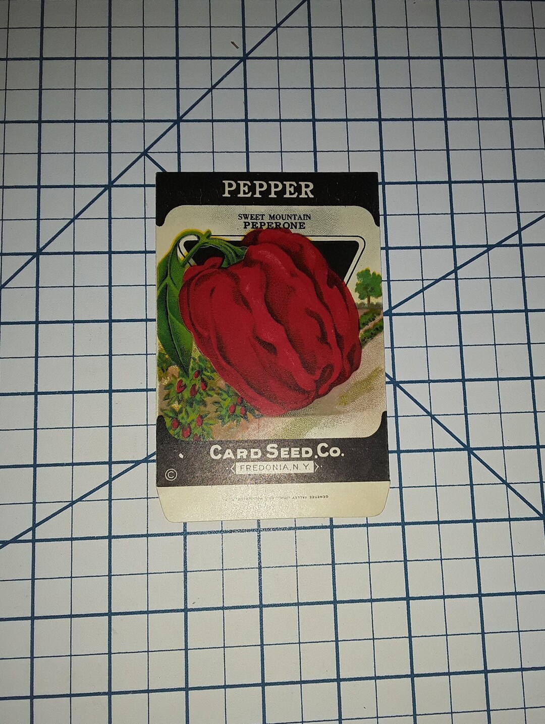 1920s Red PEPPER Vegetable Seed Packet NOS Fredonia Ny - Etsy