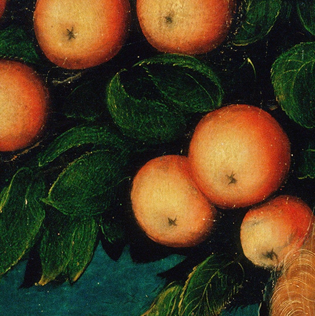 Madonna Virgin Mary Son Mother Apple Tree 17th Century - Etsy