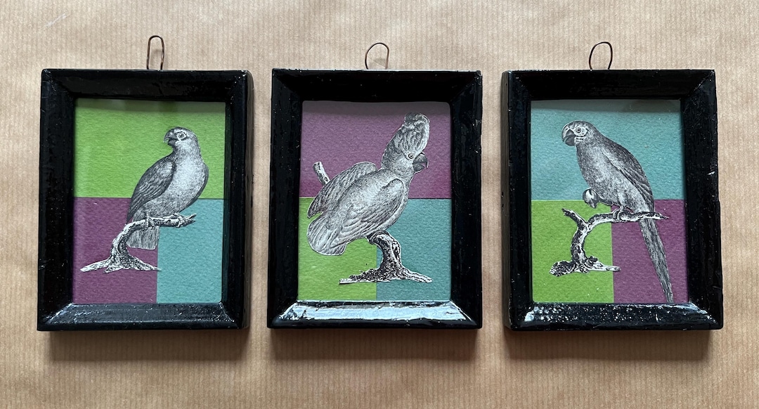 Set of 3 Collages of Antique Bird Prints in Vintage Papier-mâché Mache ...