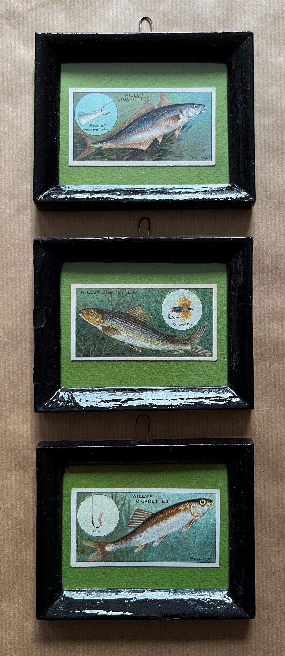 Set of 3 Unique Collages of Vintage Cigarette Cards of Fish in Vintage ...