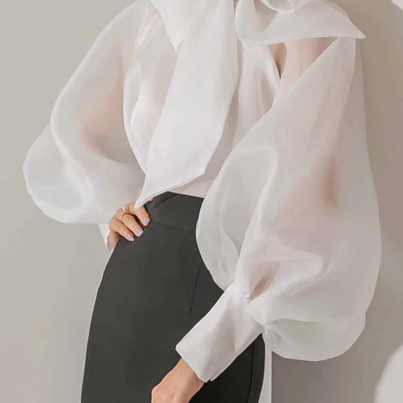 Transparent Blouse - Etsy