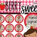 Berry Sweet Strawberry Classroom Decor Set ONE With EDITABLE Elements ...