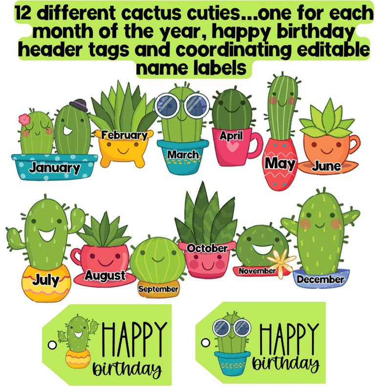 Cactus Birthday Bulletin Board Set - Etsy