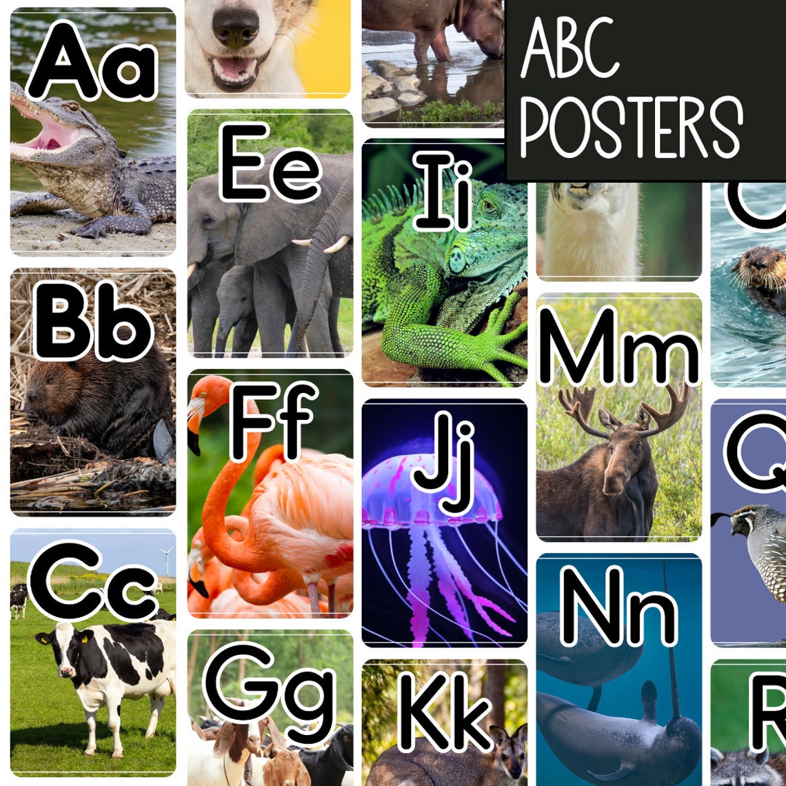 Animal Alphabet Posters - Etsy