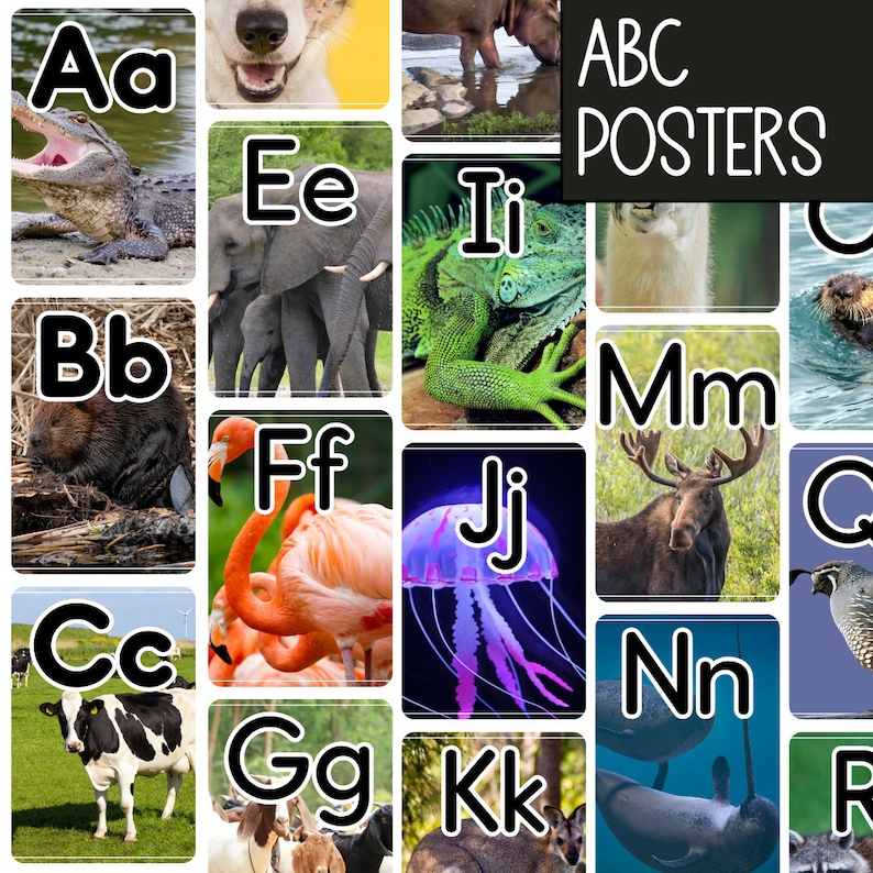 Animal Alphabet Posters - Etsy
