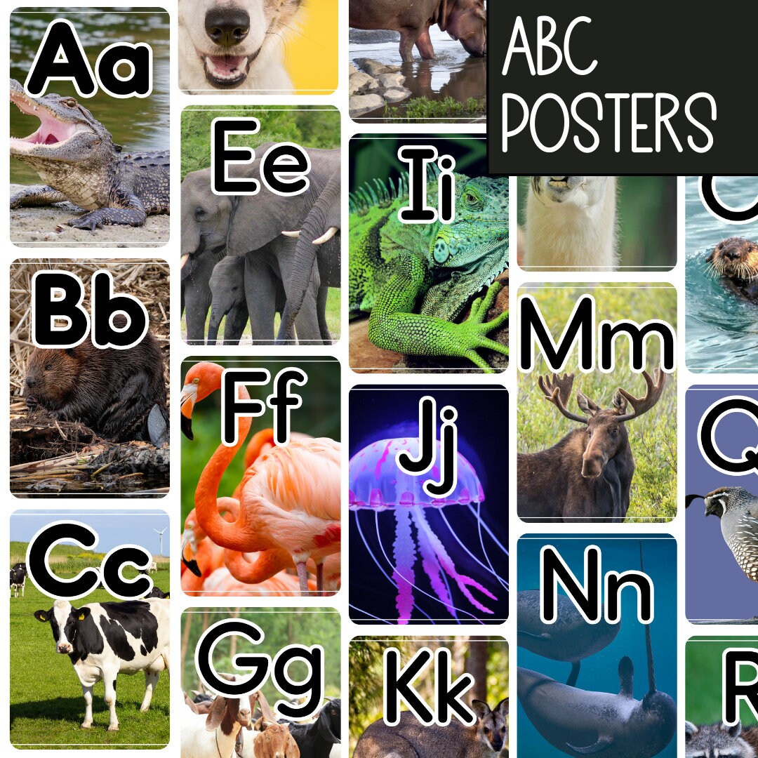 Animal Alphabet Posters - Etsy