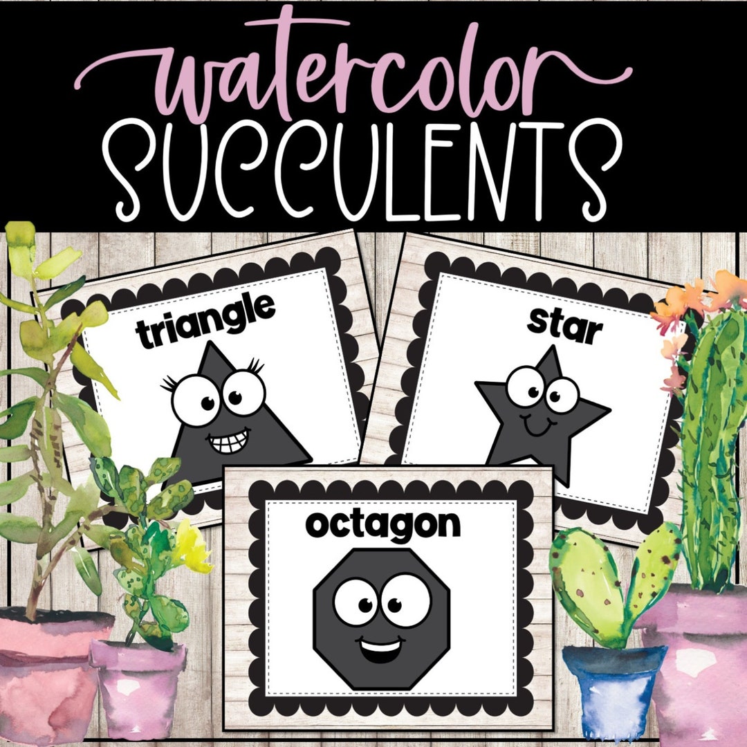 Watercolor Succulents | 2D Shape Posters With 30 Shapes - Etsy