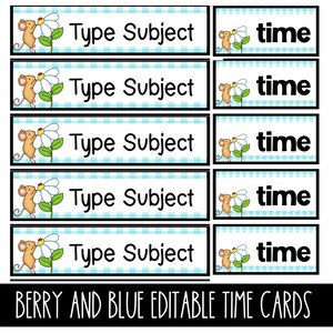 Editable Classroom Schedule Cards Berry Sweet Theme - Etsy