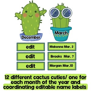 Cactus Birthday Bulletin Board Set - Etsy