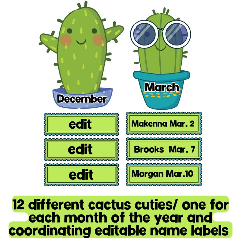 Cactus Birthday Bulletin Board Set - Etsy