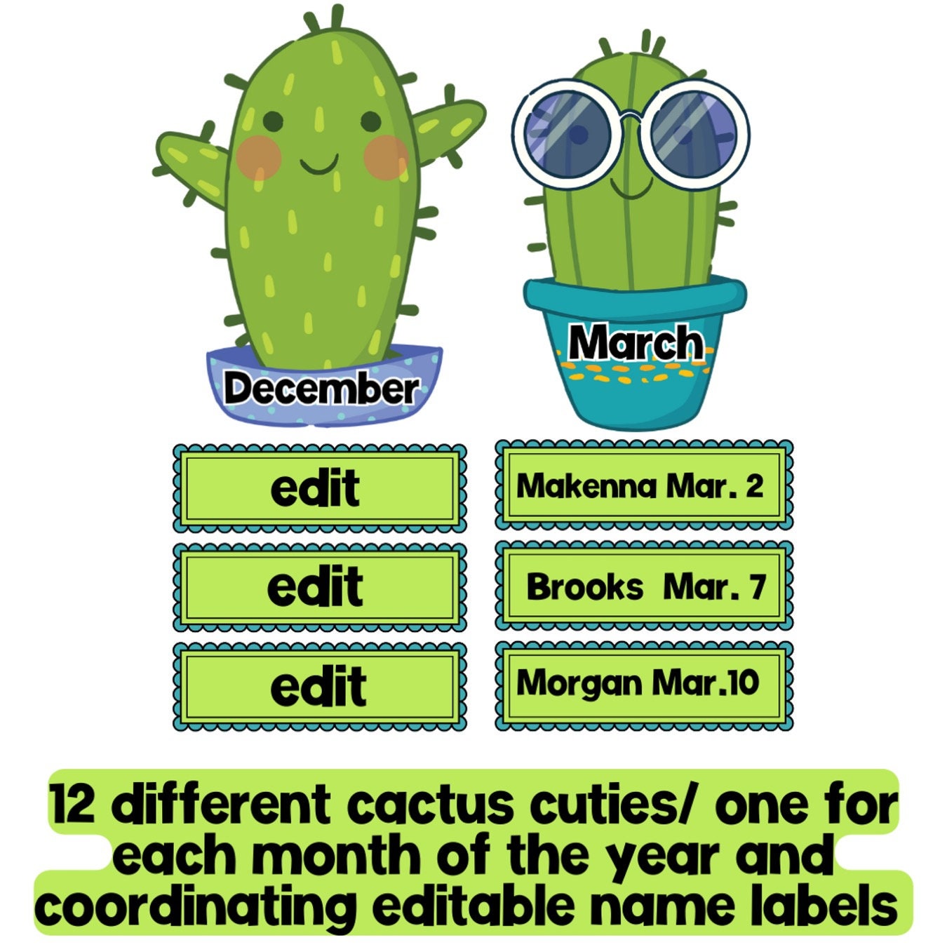 Cactus Birthday Bulletin Board Set - Etsy