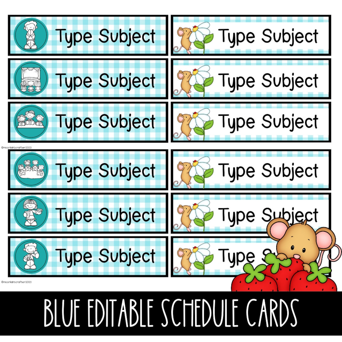 Editable Classroom Schedule Cards Berry Sweet Theme - Etsy