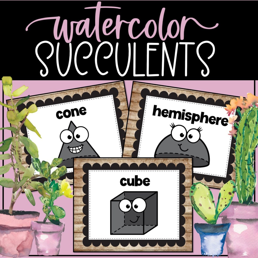 Watercolor Succulents Classroom Decor 3D Shape Posters - Etsy