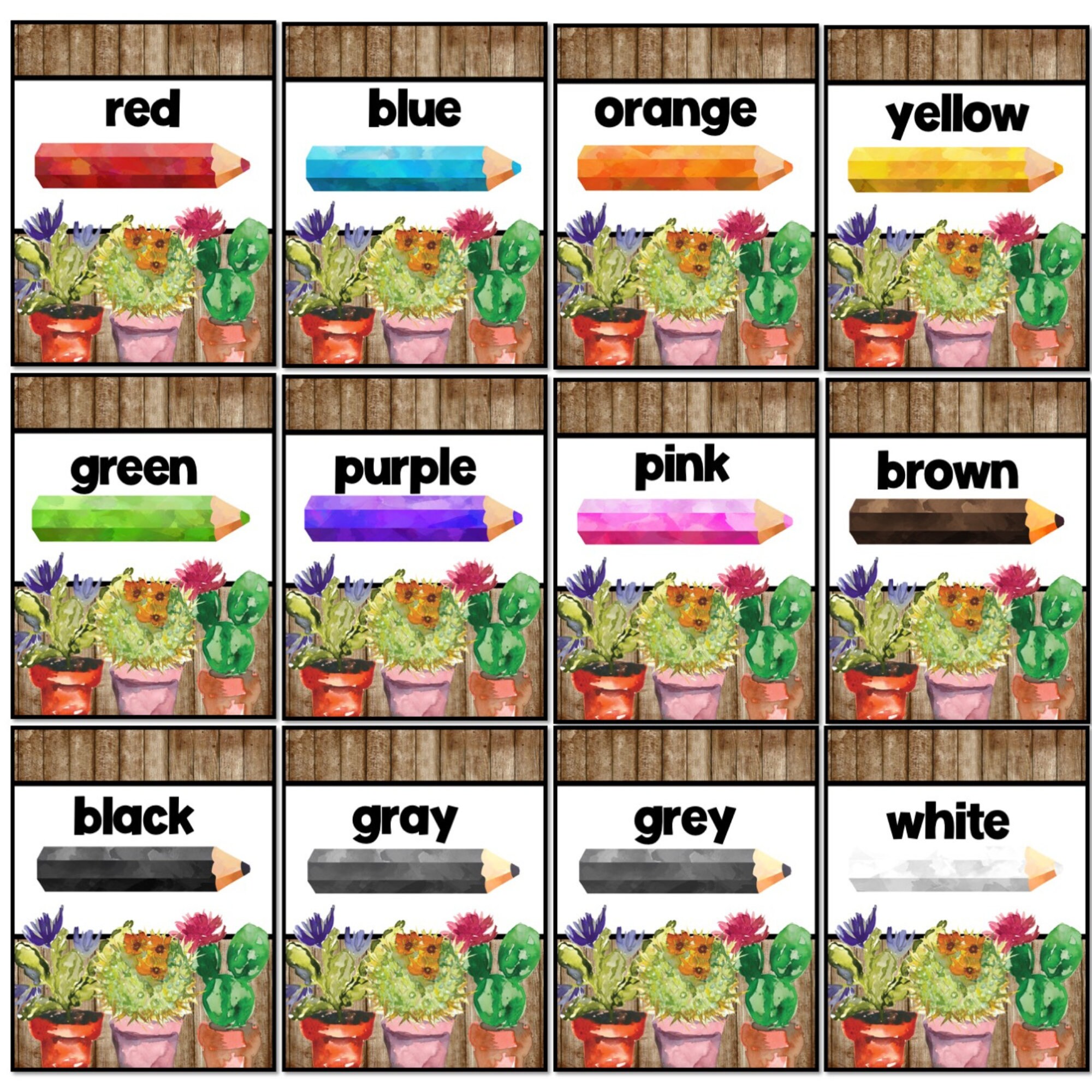 Watercolor Succulents Classroom Decor | Color Posters - Etsy