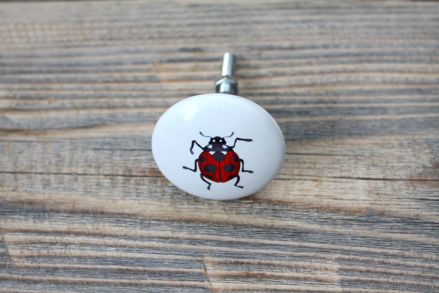 Ladybug Drawer Pull Ceramic Cabinet Knob Ladybug Decor | Etsy
