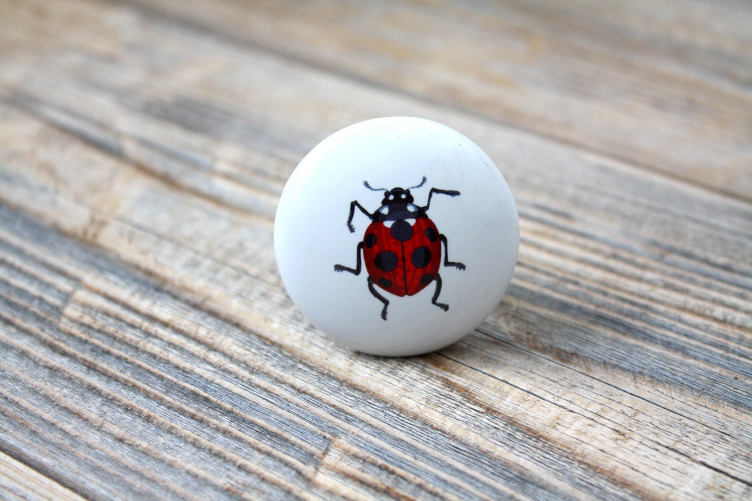Ladybug Drawer Pull Ceramic Cabinet Knob Ladybug Decor | Etsy