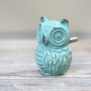 Owl Drawer Knob - Shabby Chic Dresser Pulls or Handles - Etsy