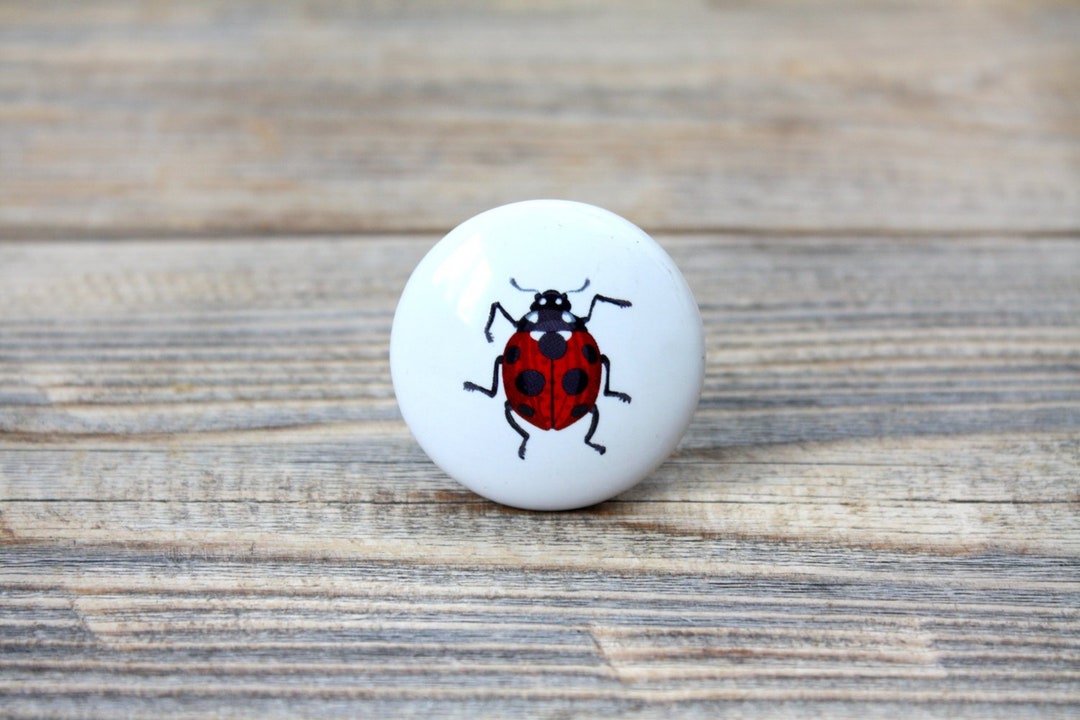 Ladybug Drawer Pull - Ceramic Cabinet Knob - Ladybug Decor - Etsy
