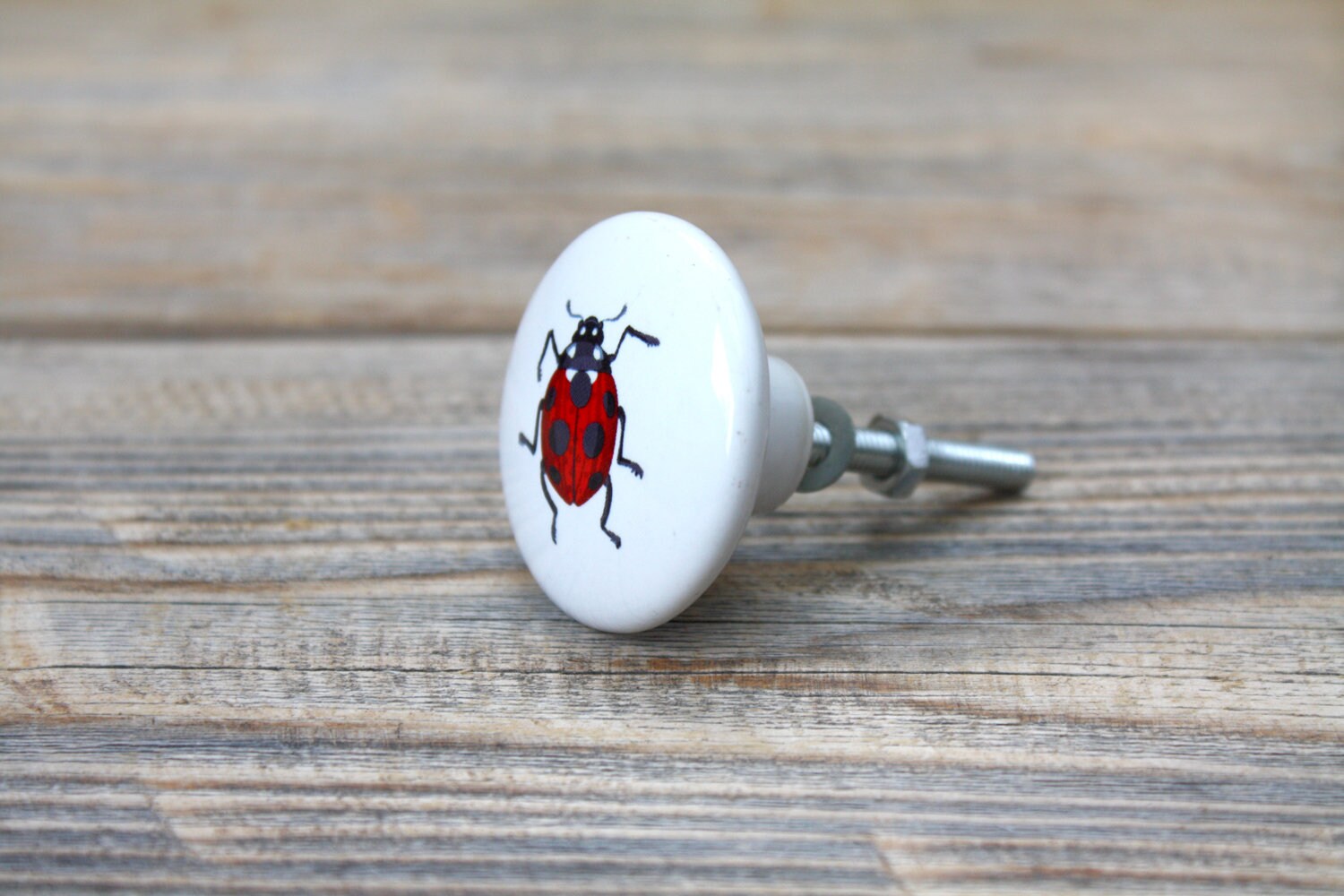 Ladybug Drawer Pull Ceramic Cabinet Knob Ladybug Decor | Etsy