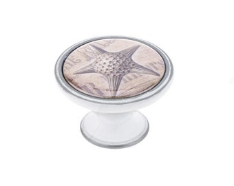 Starfish Drawer Knobs and Drawer Pulls, Seaside, Nautical, Beach Decor - Etsy UK
